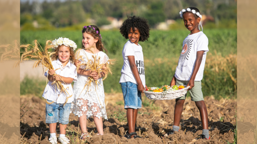 Shavuot—Festival of Weeks - Christians for Israel International